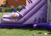 China Purple / Grey Inflatable Jumping Castle With Dragon Slide Roofed Playground for sale