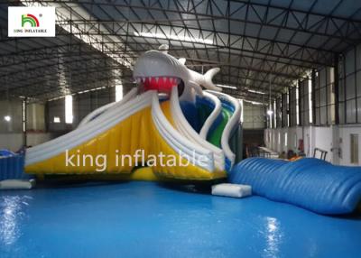 China Giant Cartoon Inflatable Swimming Pool With Two Side Slide Double Sewing for sale