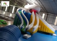 China Giant Cartoon Inflatable Swimming Pool With Two Side Slide Double Sewing for sale