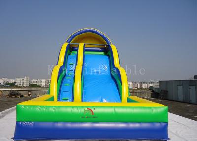 China Toddler Inflatable Water Slide Customized 0.55mm PVC Tarpaulin Double Lanes for sale