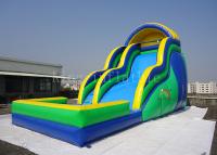 China Toddler Inflatable Water Slide Customized 0.55mm PVC Tarpaulin Double Lanes for sale