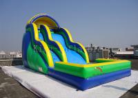 China Toddler Inflatable Water Slide Customized 0.55mm PVC Tarpaulin Double Lanes for sale