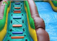 China 9*4*5 m Green Tree Family Inflatable Water Slide Kids Seaworld Backyard With Pool for sale