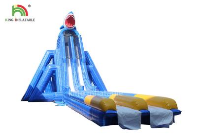 China Anti - Tear Beach Giant Inflatable Water Slide Blue Double Lanes For Adults for sale