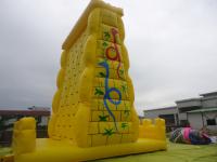 China Funny Giant Inflatable Sports Games / Climbing Wall For Amusement Park Equipment For Family for sale