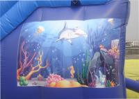 China Three lines Inflatable Water Slide With Pool For Kids / Adults Inflatable Slide Park for sale
