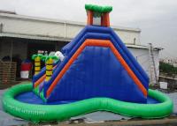 China Double Inflatable Water Slide Among Pool PVC Tarpaulin Material Water Park Slide for sale