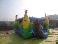 China High Strength Commercial Bounce Houses Inflatable Jumping Castle for sale