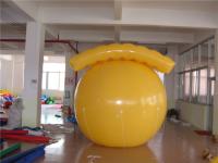 China Hot Air Balloon Price / Customized Inflatable Advertising Balloons / Helium Balloon for sale