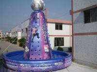 China Violet Giant Inflatable Sports Games Amusement Park Equipment Violet for sale