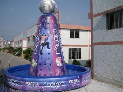 China Violet Giant Inflatable Sports Games Amusement Park Equipment Violet for sale