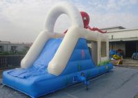 China 7m x 3m Inflatable Jumping Castle With Slides Up And Down / Inflatable bouncer For Kids for sale