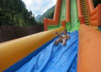 China 0.55mm Plato Inflatable Water Slide With Swimming Pool for sale
