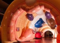 China Inflatable Event Tent Human Body With Organs for Exhibition nylon fabric for sale