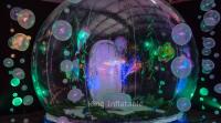 China 0.8 Mm PVC Inflatable Christmas Snow Globe For Outdoor Event for sale