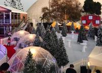 China Portable 5m Geodesic dome Tent Geodesic Star frame Tent With Clear Pvc Cover for sale
