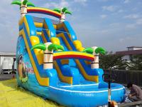 China Kids Inflatable Water Slide for sale