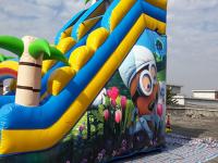 China Kids Inflatable Water Slide for sale