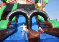 China Forest Theme Kids Inflatable Dry Slide Jumping castle Dry Bouncer Commercial for sale