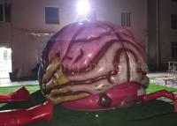 China Exhibition Inflatable Simulation Human Brain Model For Medical Show for sale