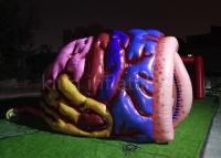 China Exhibition Inflatable Simulation Human Brain Model For Medical Show for sale