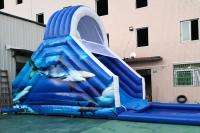 China Full Printing Shark Theme 8.5m By 3m Inflatable Water Slide for sale