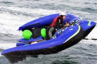China Custom Adult 4m By 3m Inflatable Flyfish With Private Logo for sale