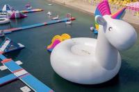 China Unicorn Theme Inflatable Floating Aqua Water Park Digital Printing for sale