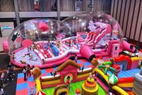 China Commercial Pink Pig Inflatable Playground With Bubble Tent Cover for sale
