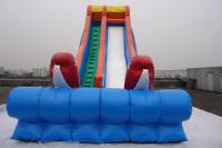 China Single Lane Fish Decorated Blow Up Water Slide PVC Swimming Pool for Sale for sale