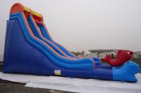 China Single Lane Fish Decorated Blow Up Water Slide PVC Swimming Pool for Sale for sale