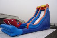 China Single Lane Fish Decorated Blow Up Water Slide PVC Swimming Pool for Sale for sale
