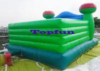 China PVC Tarpaulin Inflatable Commercial Bounce Houses For Toddlers for sale