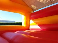 China Wacky Themed Inflatable Bounce House Kids Fun Jumping Castle for sale