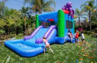 China Toddler Inflatable Pvc Water Slide With Octopus Bounce House for sale