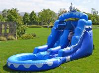 China Cartoon Shark 10x21ft Inflatable Water Slide For Kids Quadruple Stitching for sale