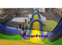 China Gaint Inflatable Water Slide Outdoor Amusement Park / Beach Sliding Games for sale