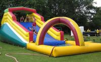 China Customized Rent Giant Pvc Inflatable Water Slide For Backyard for sale