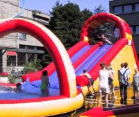 China Customized Rent Giant Pvc Inflatable Water Slide For Backyard for sale