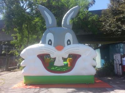 China Rabbit Inflatable Bouncer Castle With Slide 6x3.5x2.5m for sale