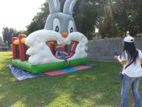 China Rabbit Inflatable Bouncer Castle With Slide 6x3.5x2.5m for sale