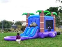 China Colorful Inflatable Palm Tree Screamer Water Slide 0.55mm Plato PVC Material for sale