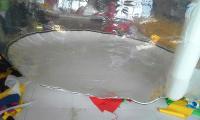 China Transparent Inflatable Bubble Tent for sale
