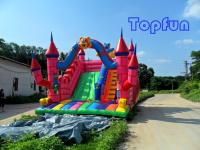 China PVC Tarpaulin Cute Inflatable Jumping Castle For Kids With Colourful Artwork for sale