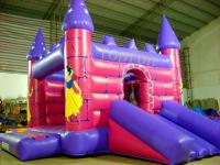 China Water Proff Artwork Princess Water Jumping Castles Pink 6 x 6m Awesome Combo for sale