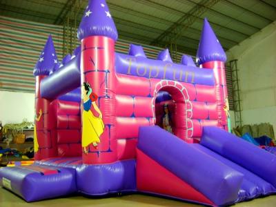 China Water Proff Artwork Princess Water Jumping Castles Pink 6 x 6m Awesome Combo for sale