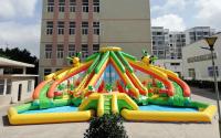 China Cartoon Bee Giant Inflatable Amusement Water Land Park for sale