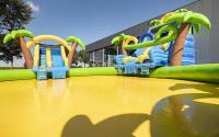 China Coconut Tree Inflatable Water Park Slides Swimming Pool for sale
