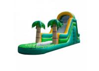 China Outdoor Party Big Inflatable Water Slide For Tropical Backyard for sale
