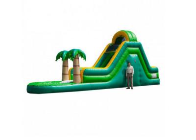 China Outdoor Party Big Inflatable Water Slide For Tropical Backyard for sale